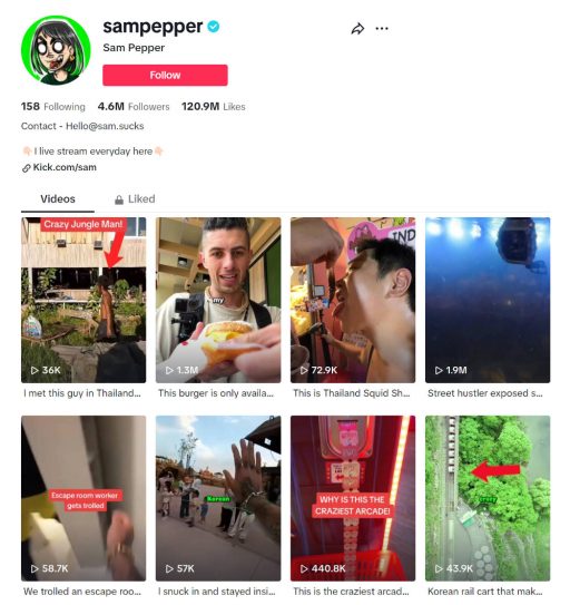 Sam Pepper Kick Streamer » Known Prankster streams for Stake!